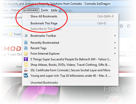 Creating Bookmarks - History Page | Web Browser & Internet Solutions