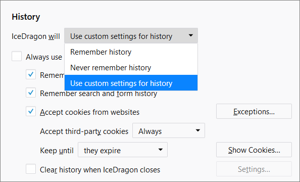 Delete Browsing History, Configure History Settings|Web Browser & Internet Solutions